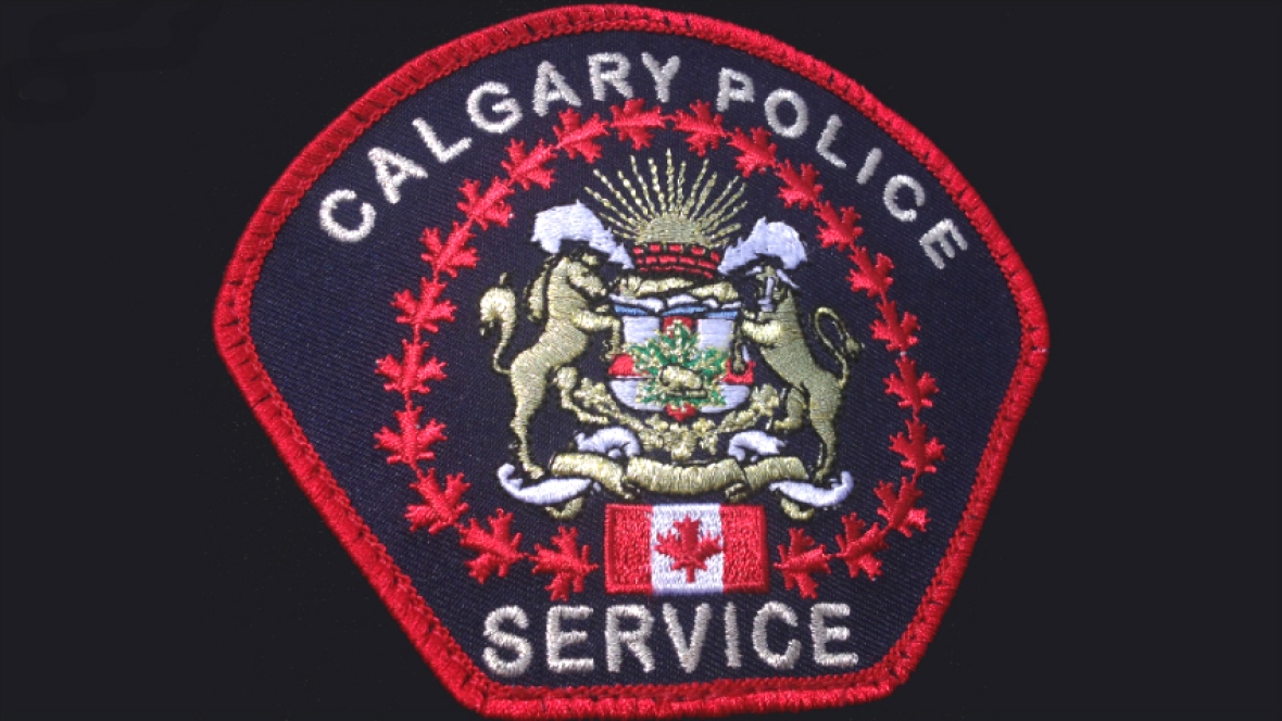 One man charged after weekend protests in Calgary - another regarding ...