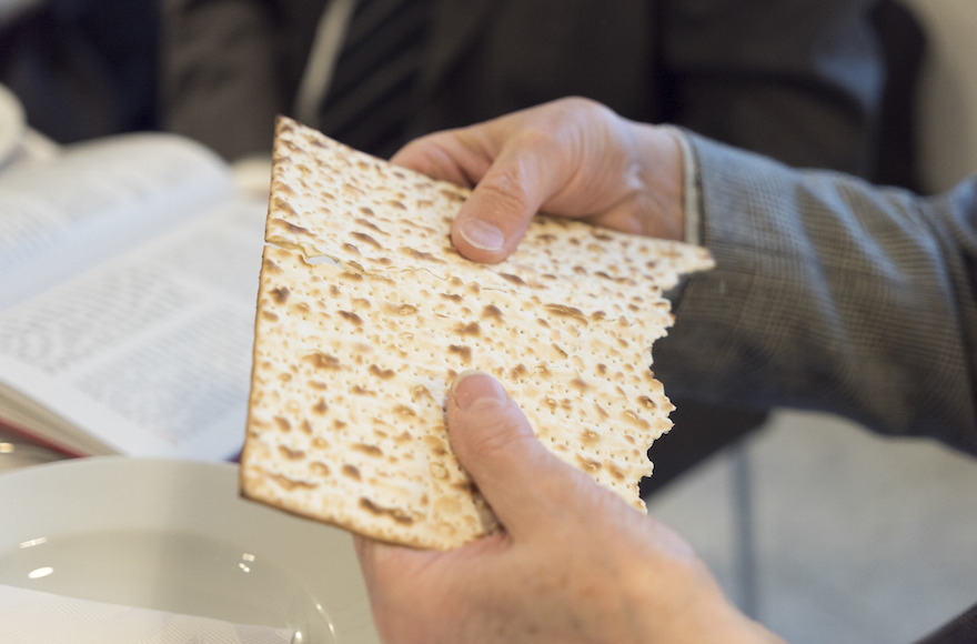 Gluten-free matzah: Here's what you should know - Alberta Jewish News